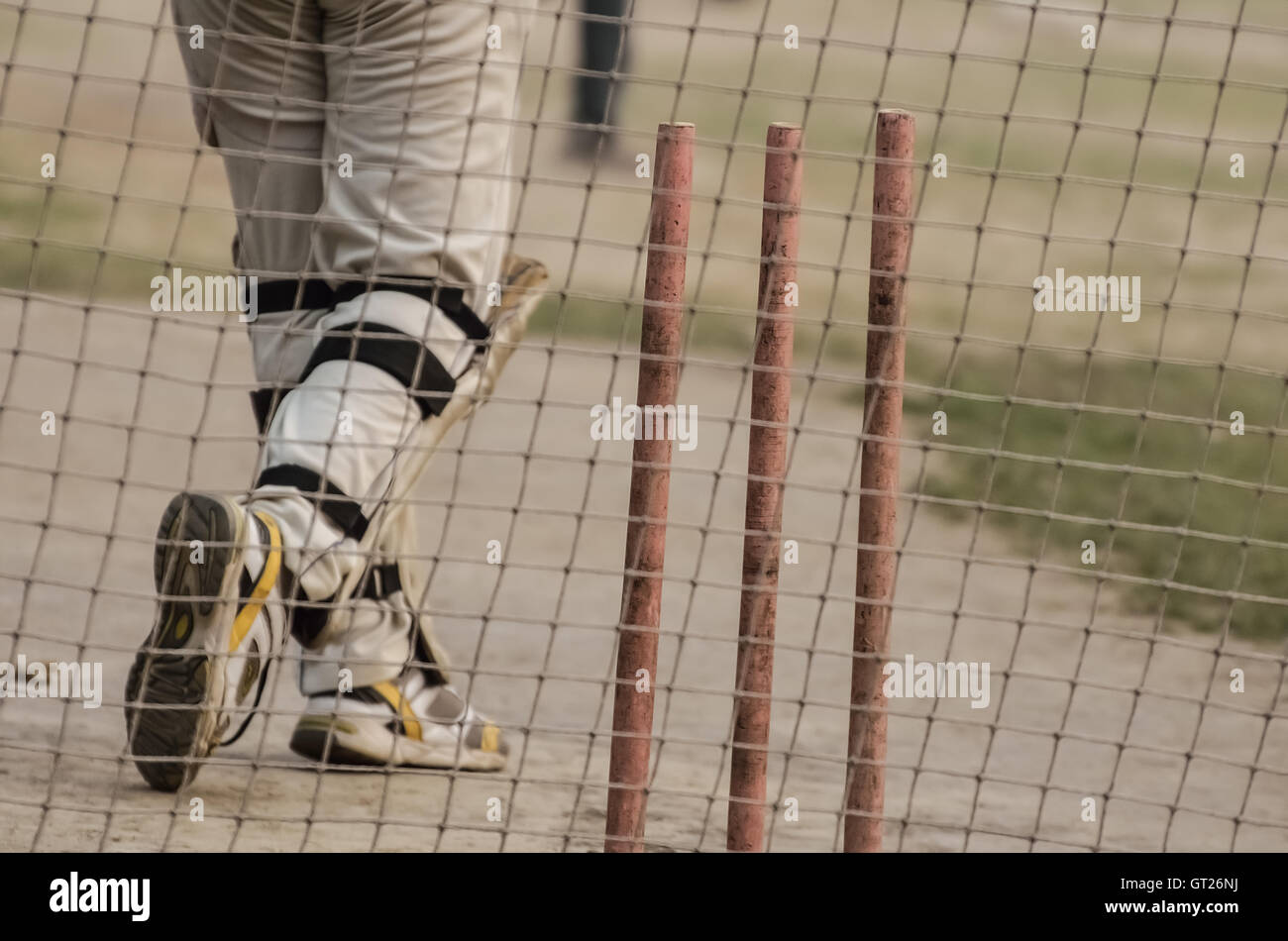 Cricket batsman net practice Stock Photo - Alamy