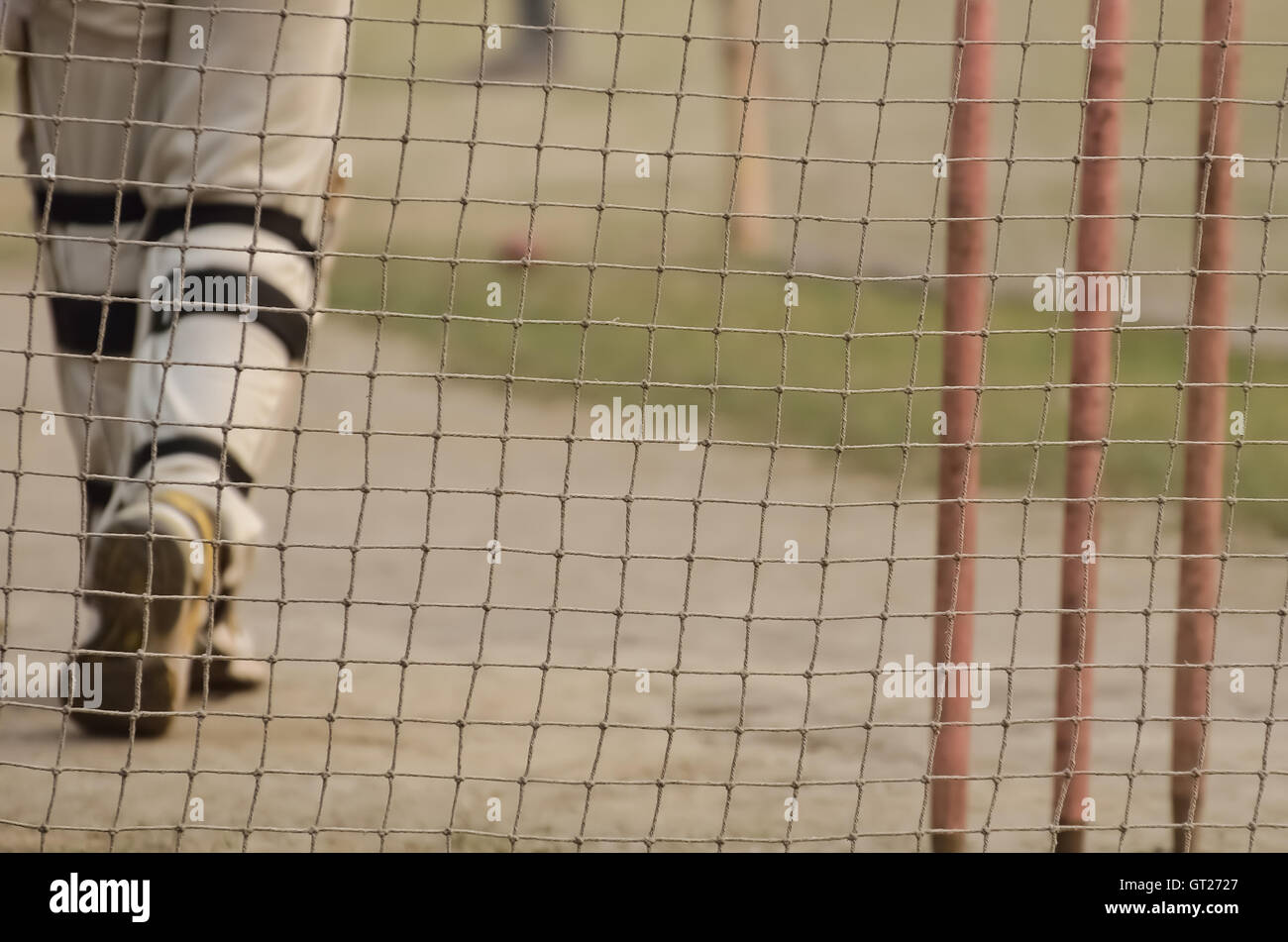 Batting net hi-res stock photography and images - Alamy