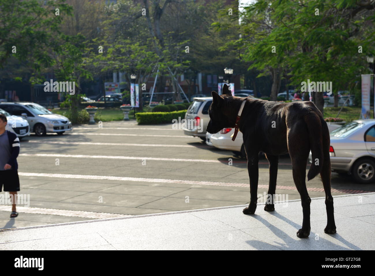 view of back Stock Photo - Alamy