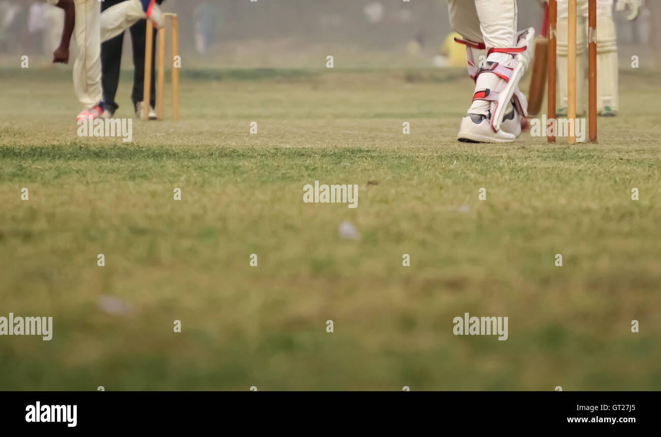 Boys are playing cricket Stock Photo - Alamy