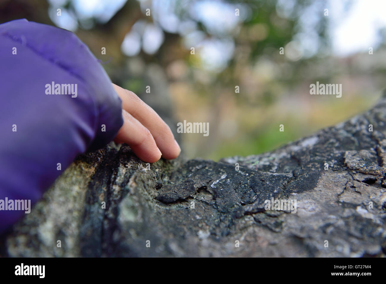view of back Stock Photo - Alamy
