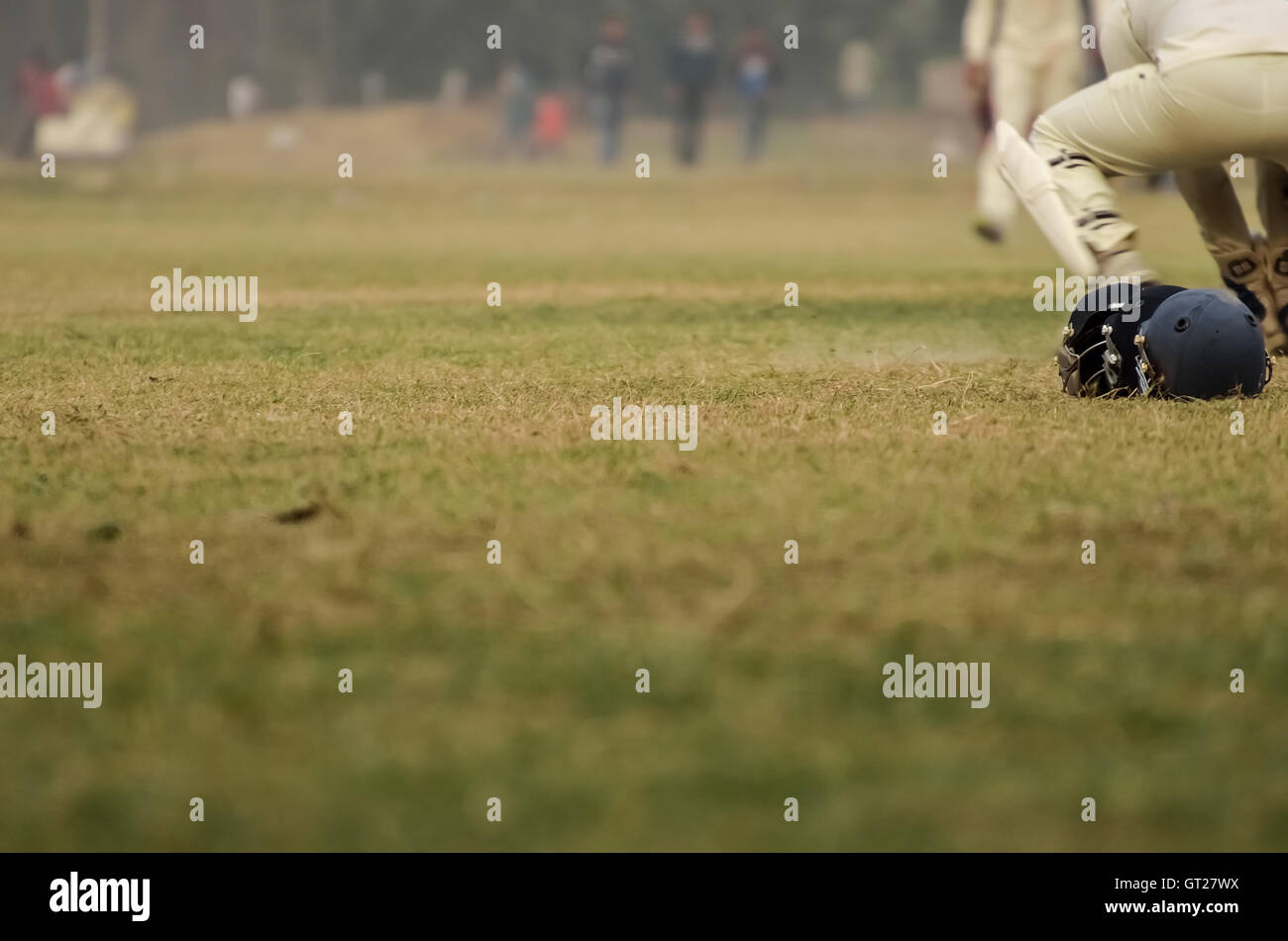 Boys are playing cricket Stock Photo - Alamy