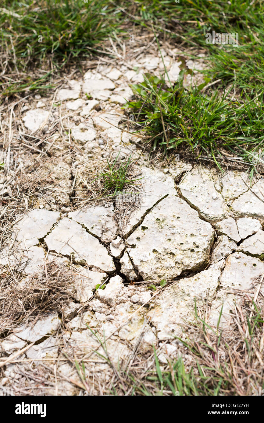 Cracks open up in dry parched earth during a drought Stock Photo - Alamy