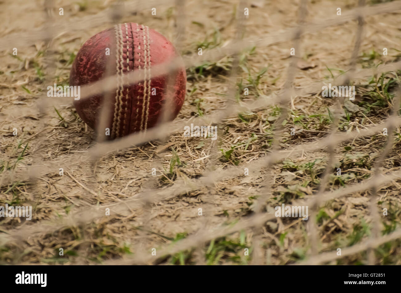 Cricketer ball inside the net during practice Stock Photo - Alamy