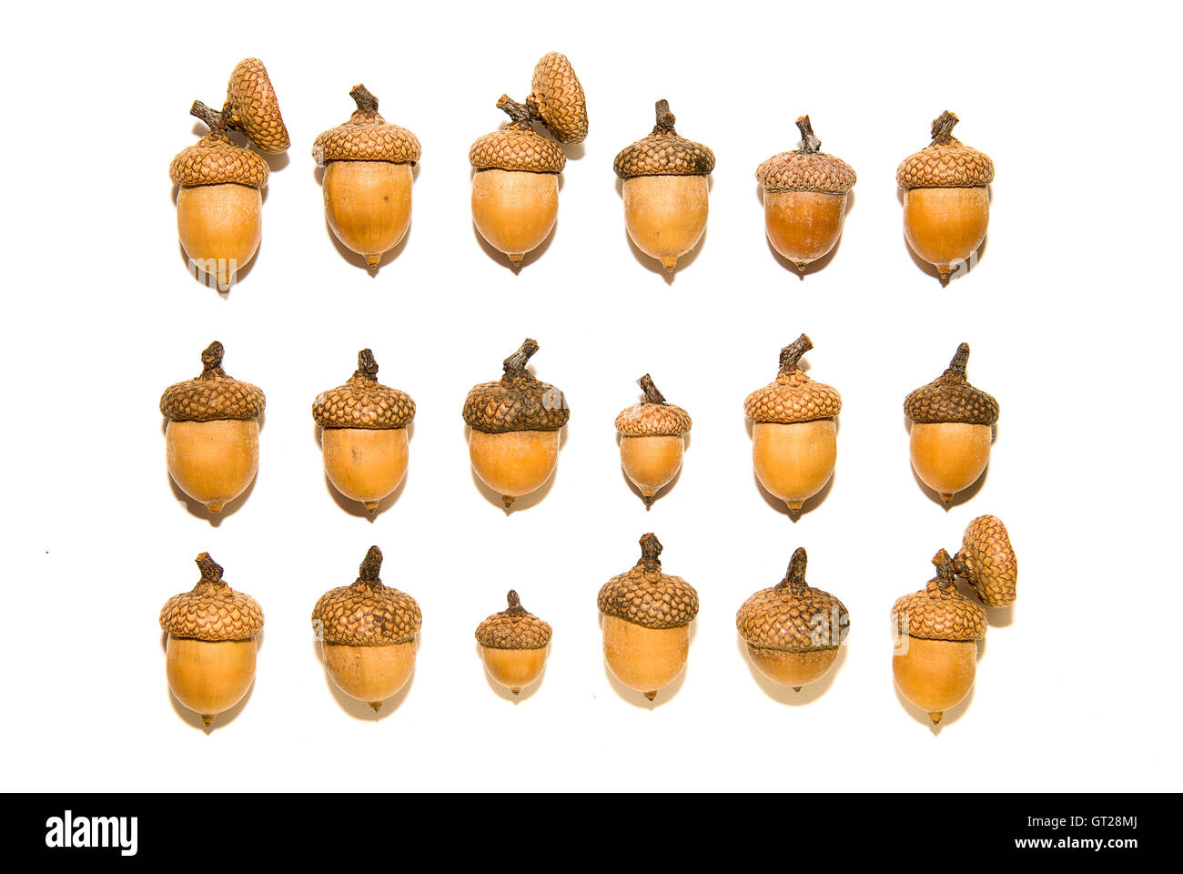 Dried many hi-res stock photography and images - Alamy