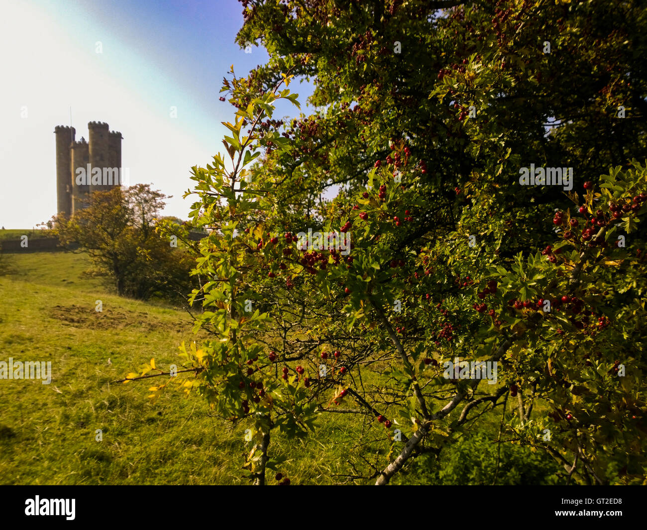 broadway, tower, cotswolds, england, worcestershire, uk, castle, folly ...