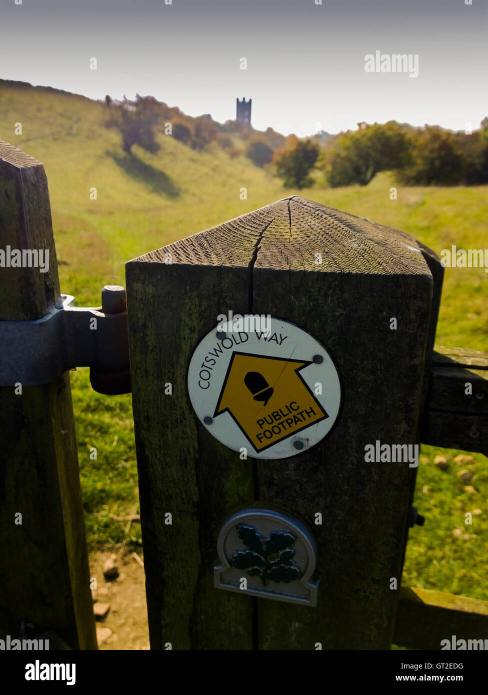 broadway, tower, cotswolds, england, worcestershire, uk, castle, folly ...