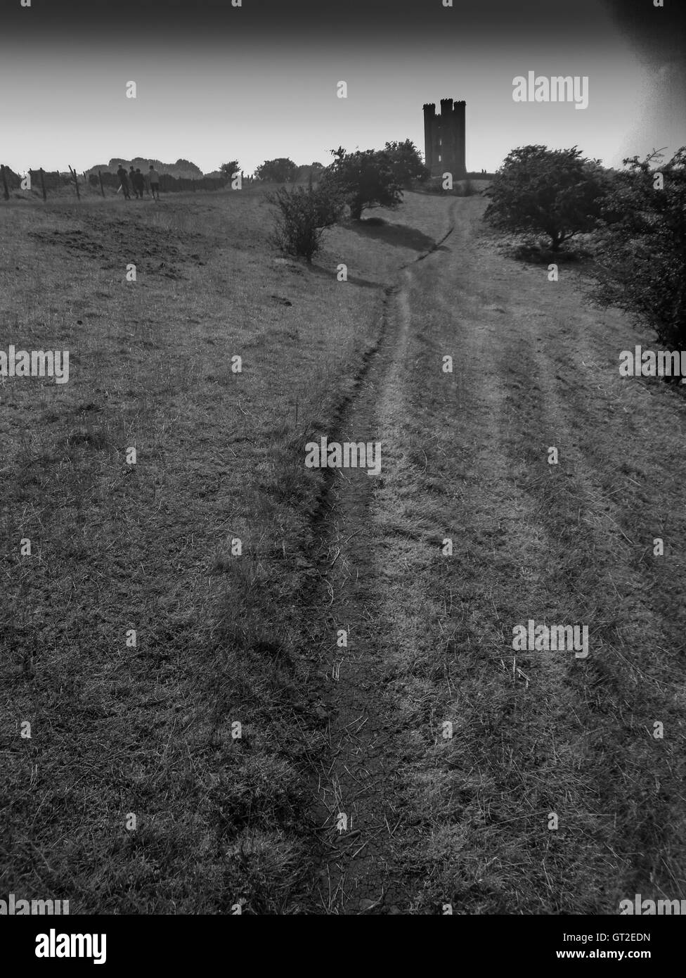 Medieval folly tower Black and White Stock Photos & Images - Alamy