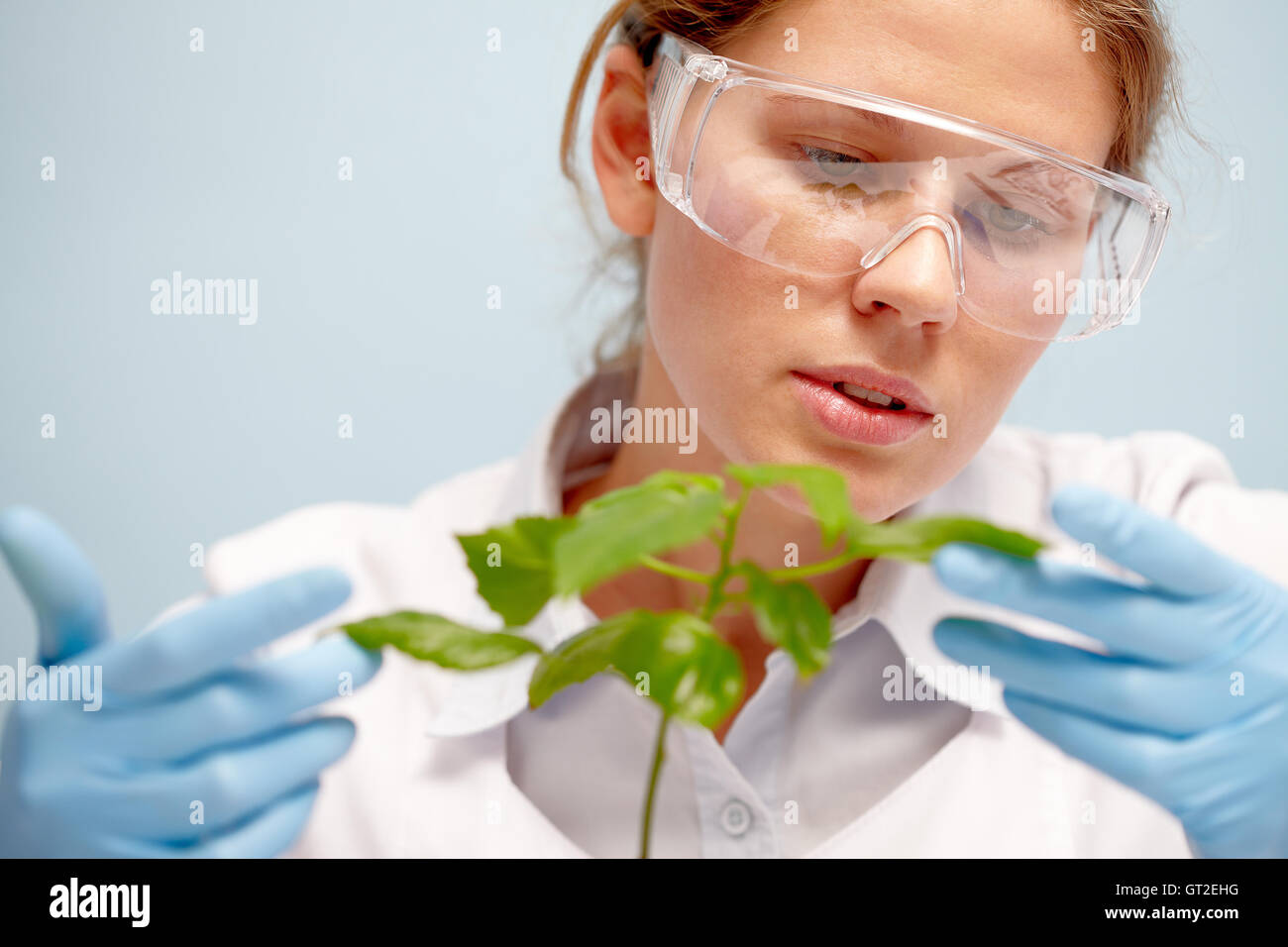 Conservation scientist hi-res stock photography and images - Alamy