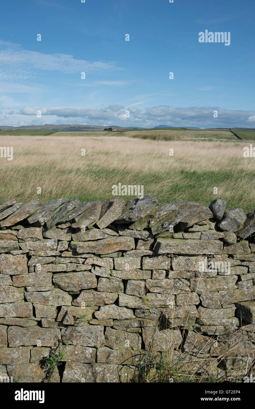 Sandstone moors moorland hi-res stock photography and images - Alamy