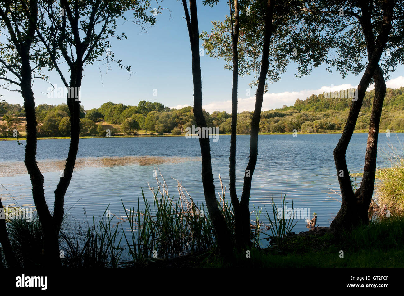 The Lagoon of Sobrado, La Coruna province, Region of Galicia, Spain ...