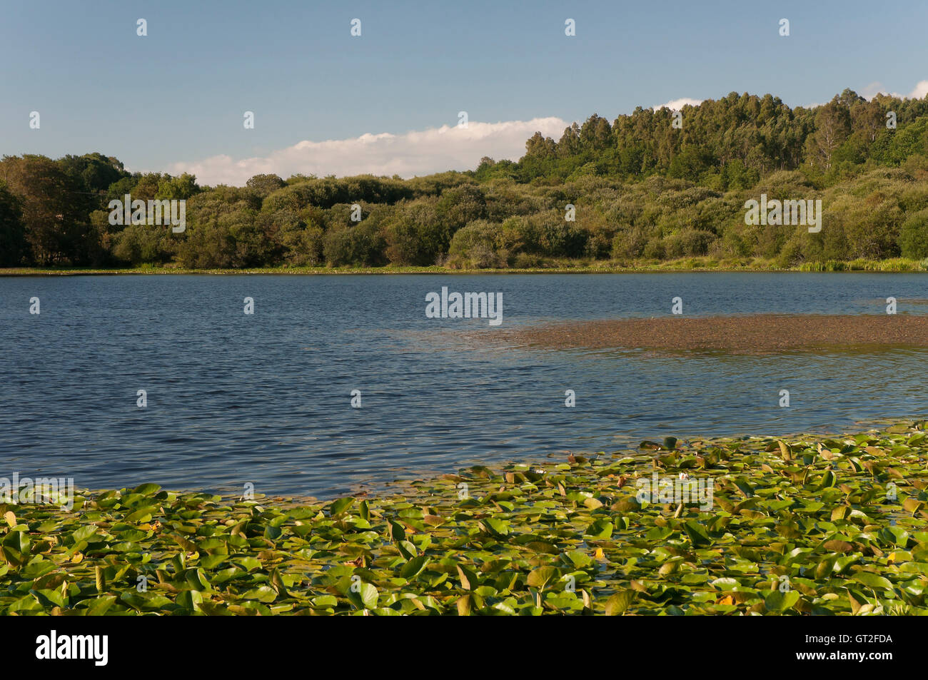 The Lagoon of Sobrado, La Coruña province, Region of Galicia, Spain ...