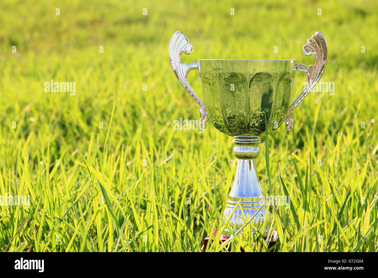 Trophy cup standing on green grass in sport field. Award and victory ...