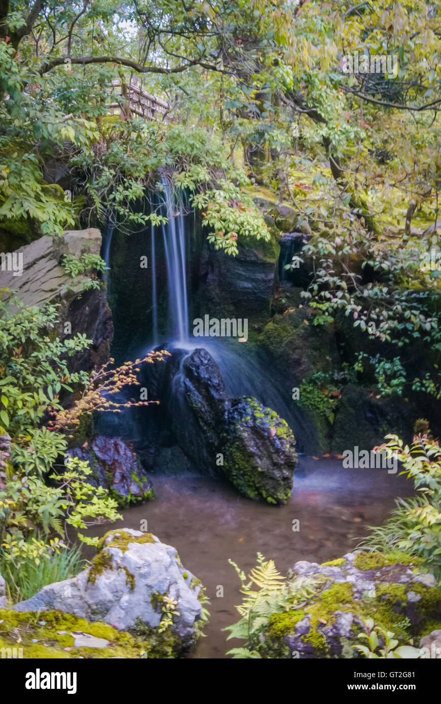 A waterfall in a forest Stock Photo - Alamy