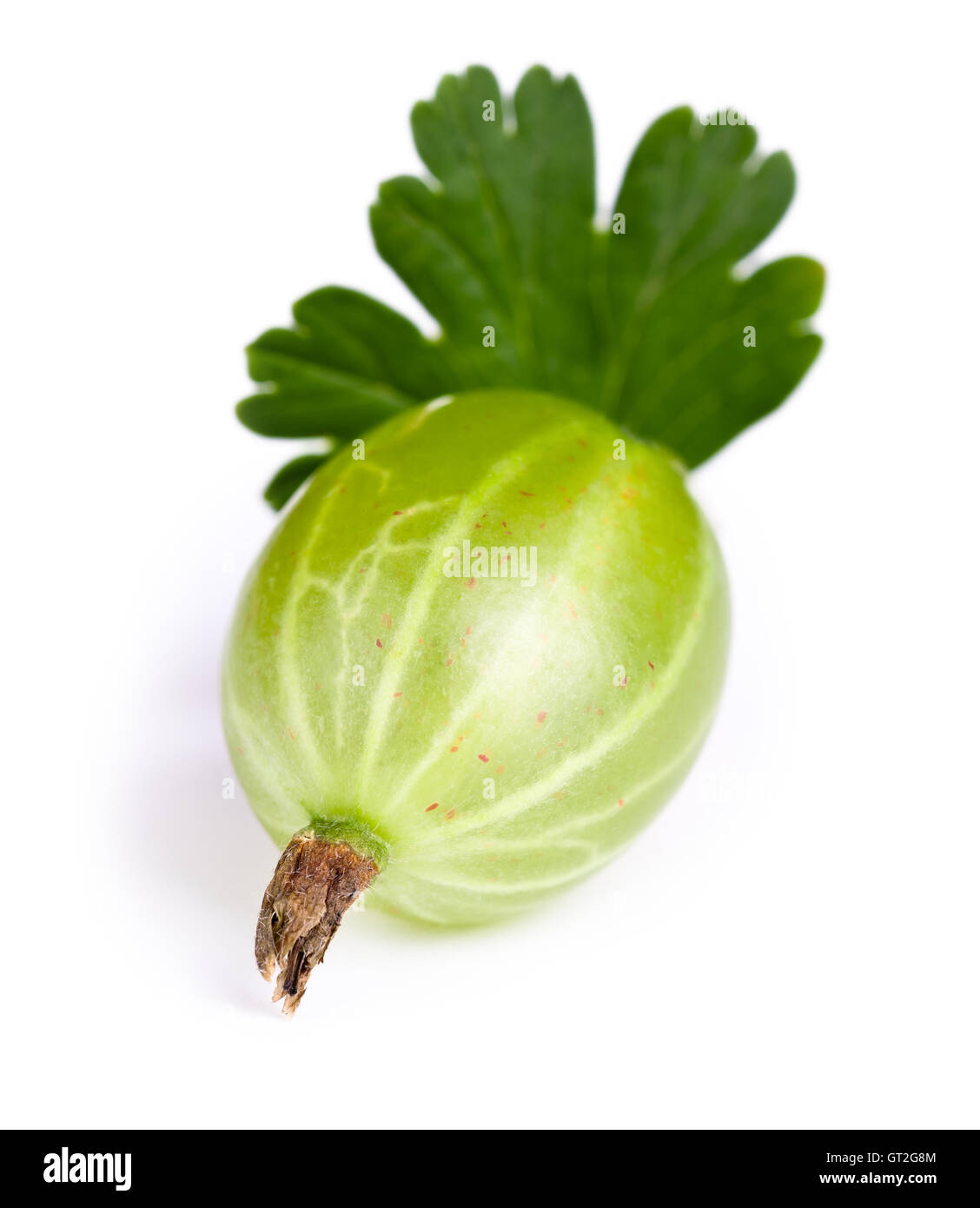 Sweet gooseberry hi-res stock photography and images - Alamy