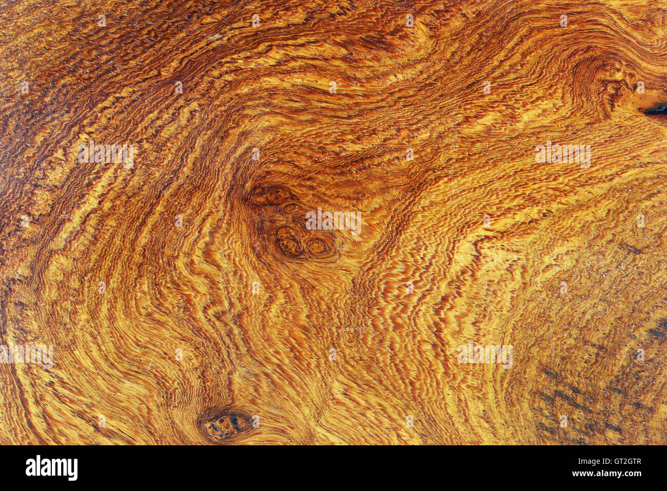 detail of wood texture Stock Photo - Alamy