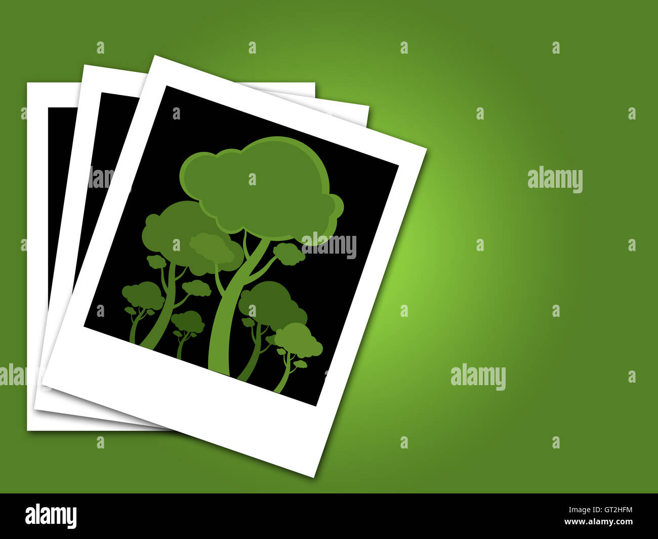 trees in frame Stock Photo - Alamy