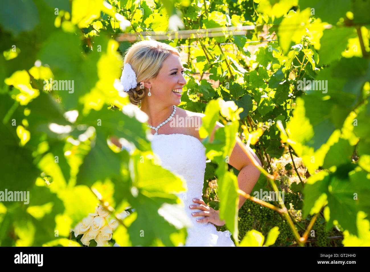 Bride On Her Wedding Day Stock Photo - Alamy