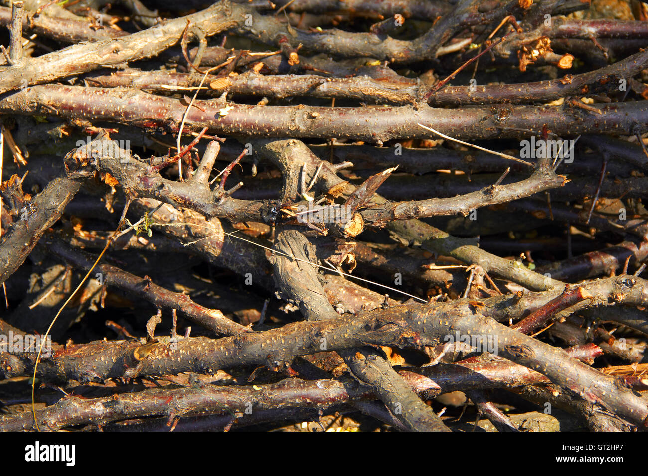 Brushwood hi-res stock photography and images - Alamy