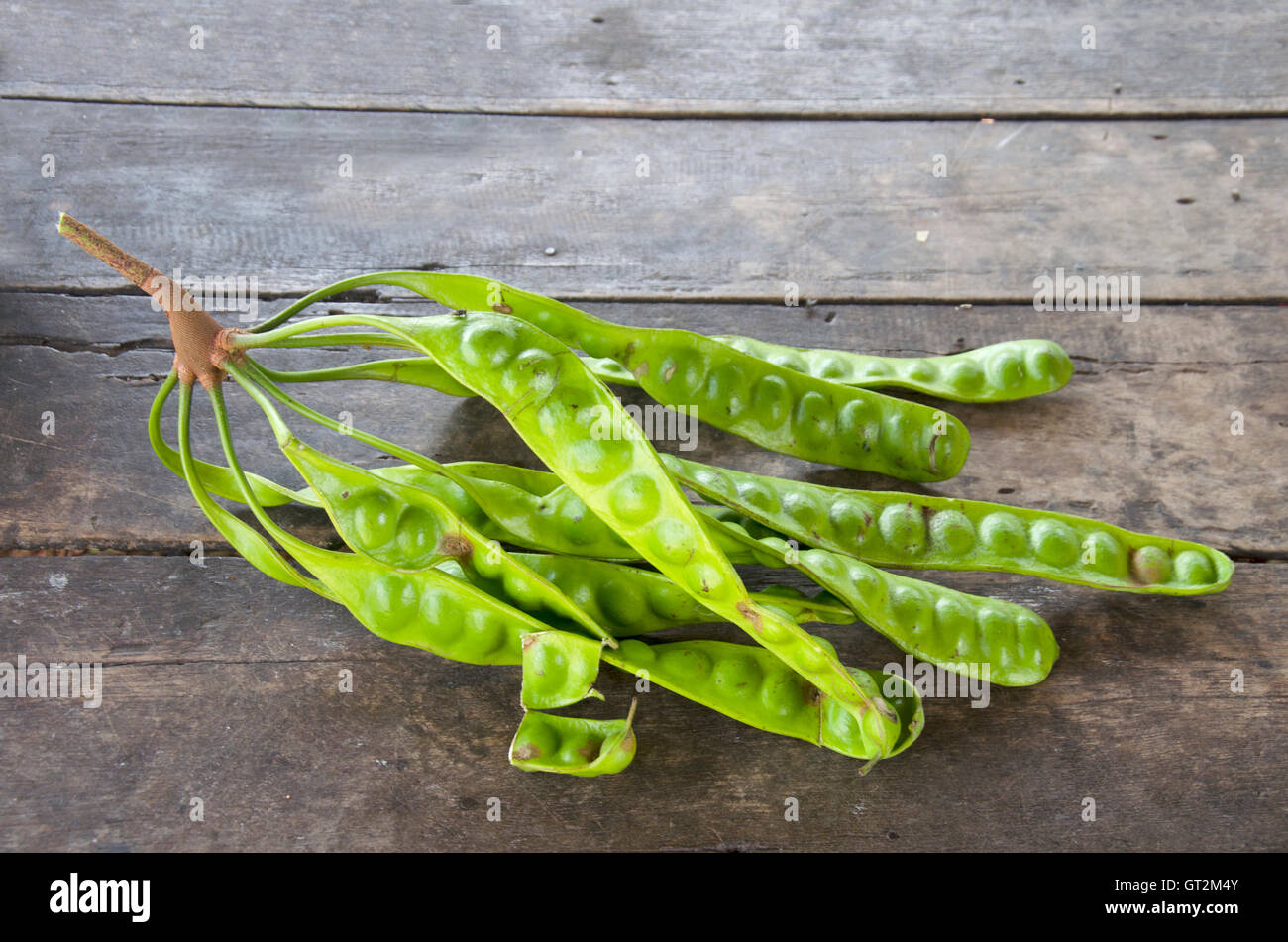 Parkia speciosa or Stink Bean or Bitter bean, Twisted cluster bean thai ...