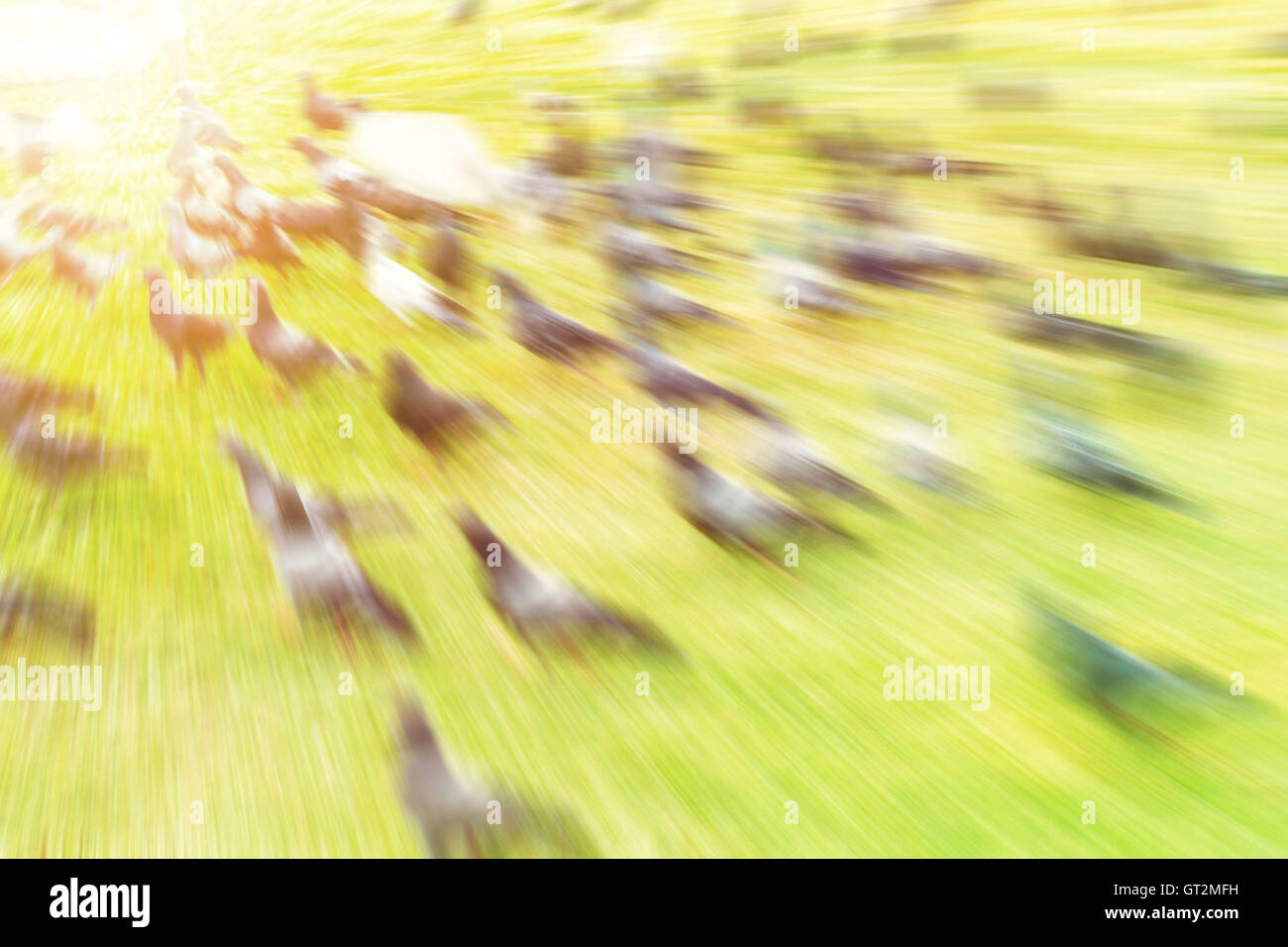 Spoiling nature hi-res stock photography and images - Alamy