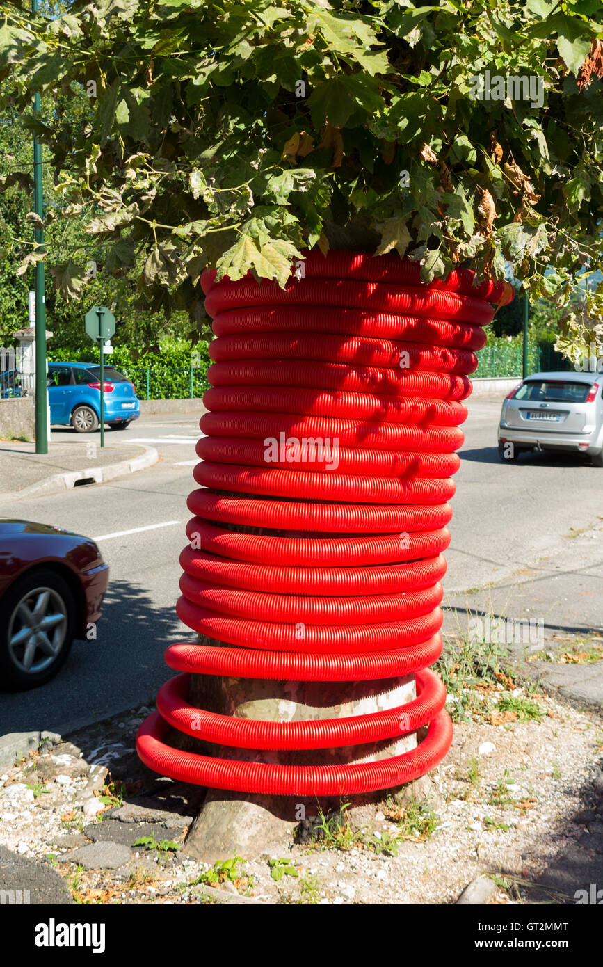 Tree with protective packing / flexible tube protection / tubes to ...