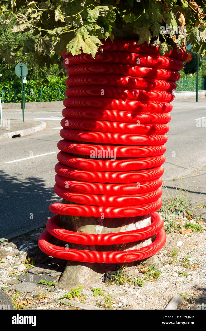 Tree with protective packing / flexible tube protection / tubes to ...