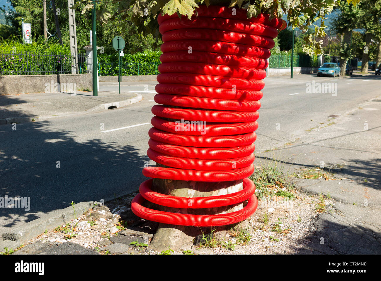 Tree protection tubes hi-res stock photography and images - Alamy