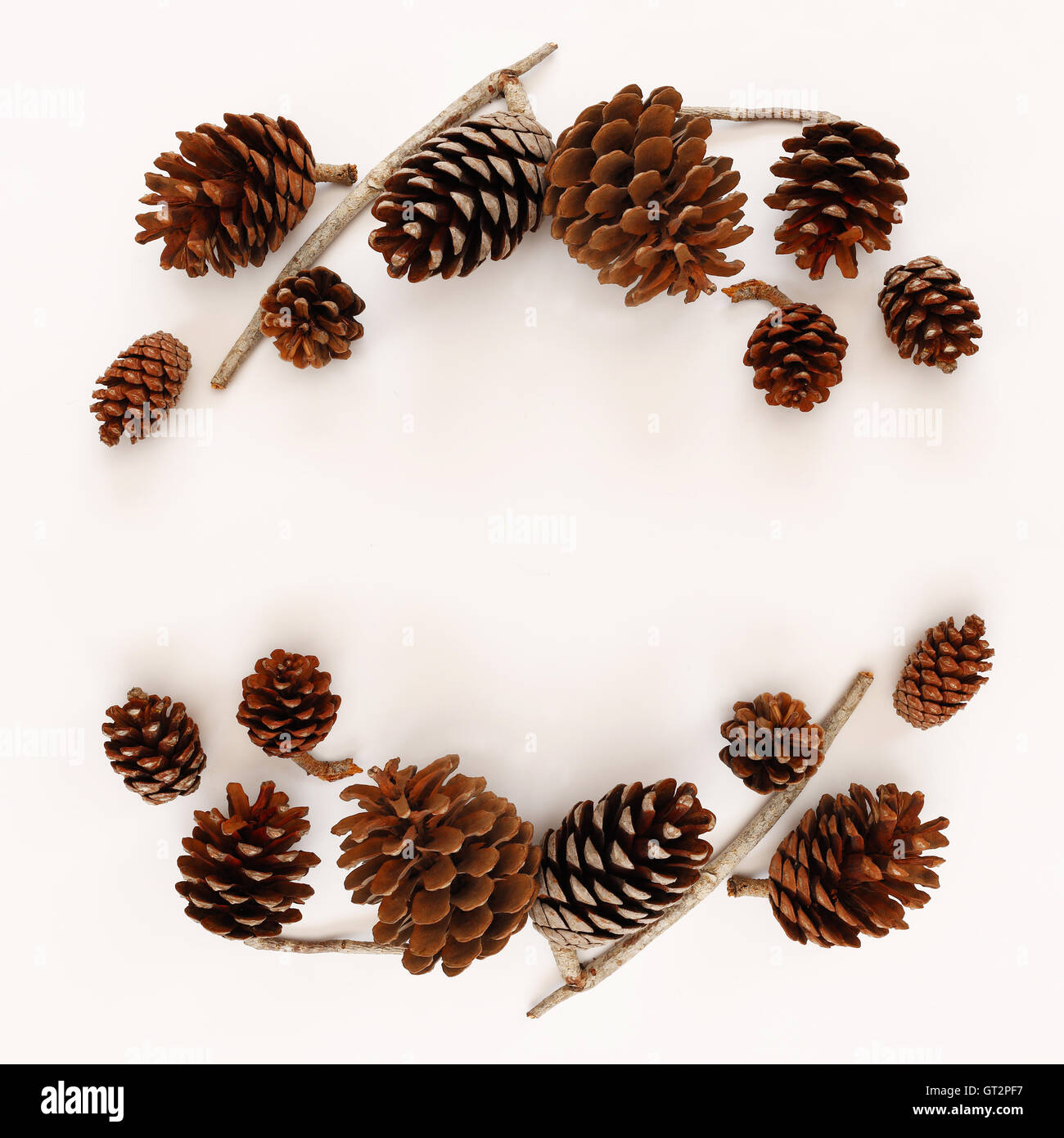 Top view of pine cones on white background Stock Photo - Alamy