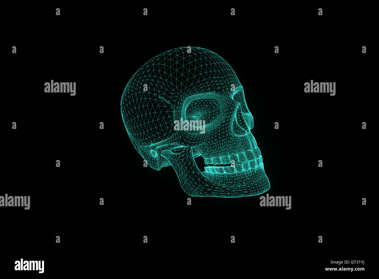 Human skull 3d wireframe hologram hi-res stock photography and images ...