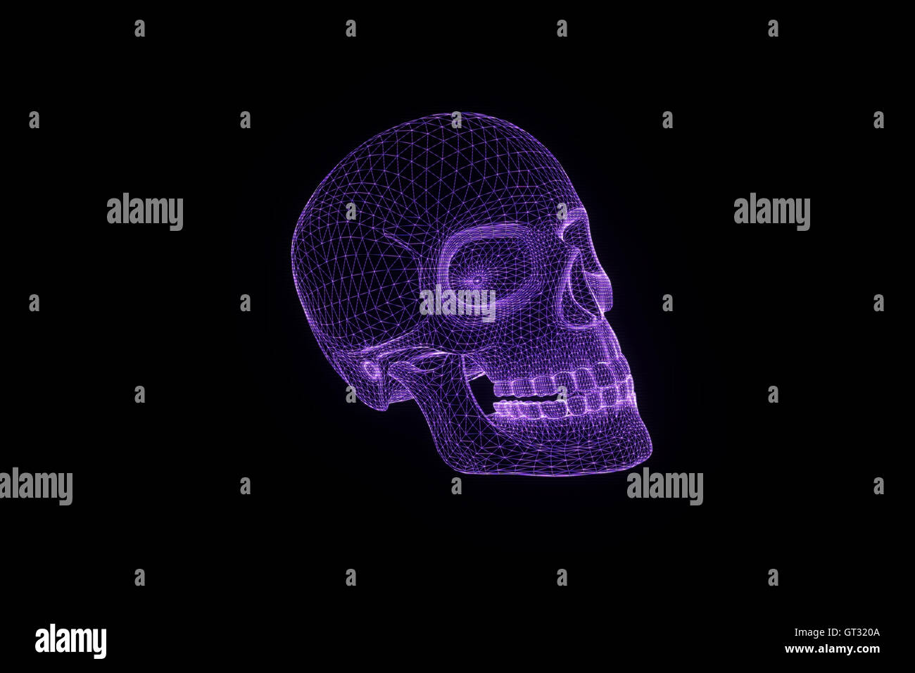 Human skull 3d wireframe hologram hi-res stock photography and images ...