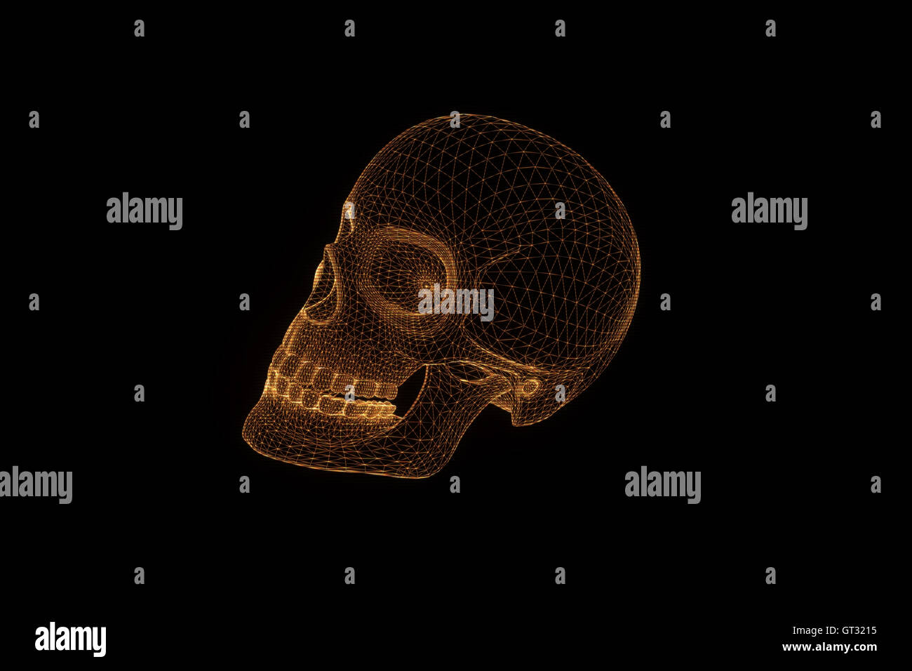 Human skull 3d wireframe hologram hi-res stock photography and images ...