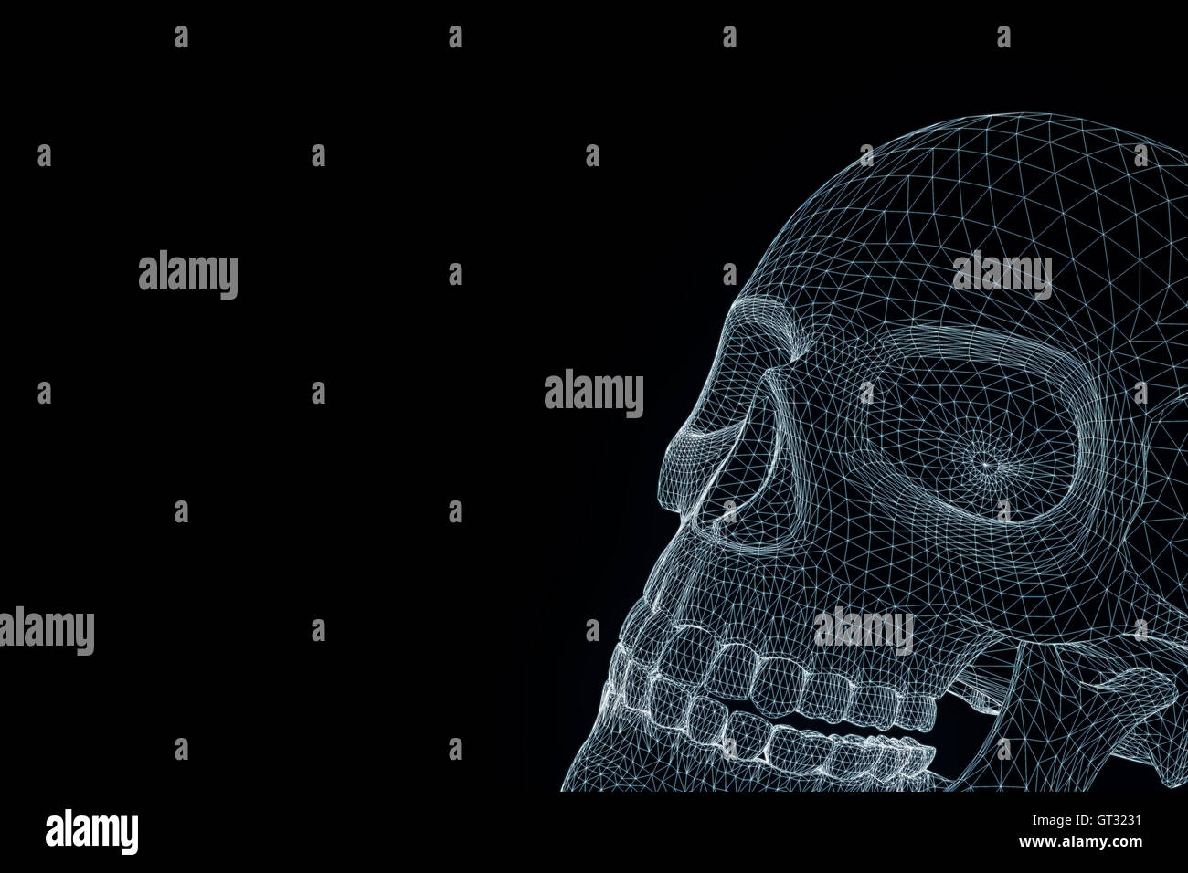 Human skull 3d wireframe hologram hi-res stock photography and images ...