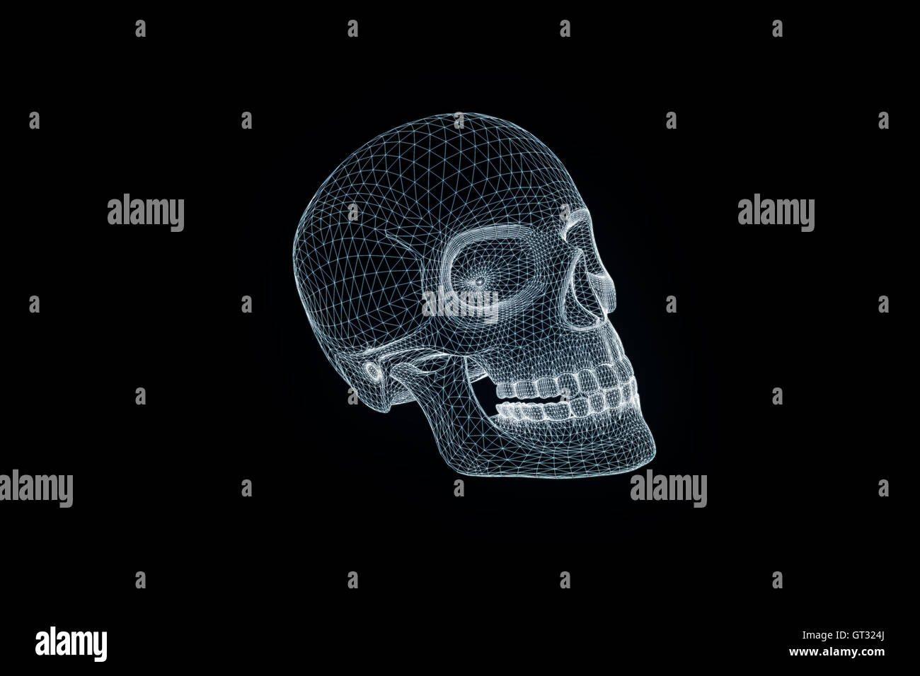 Human Skull 3D Wireframe Hologram in Motion. Nice 3D Rendering Stock ...