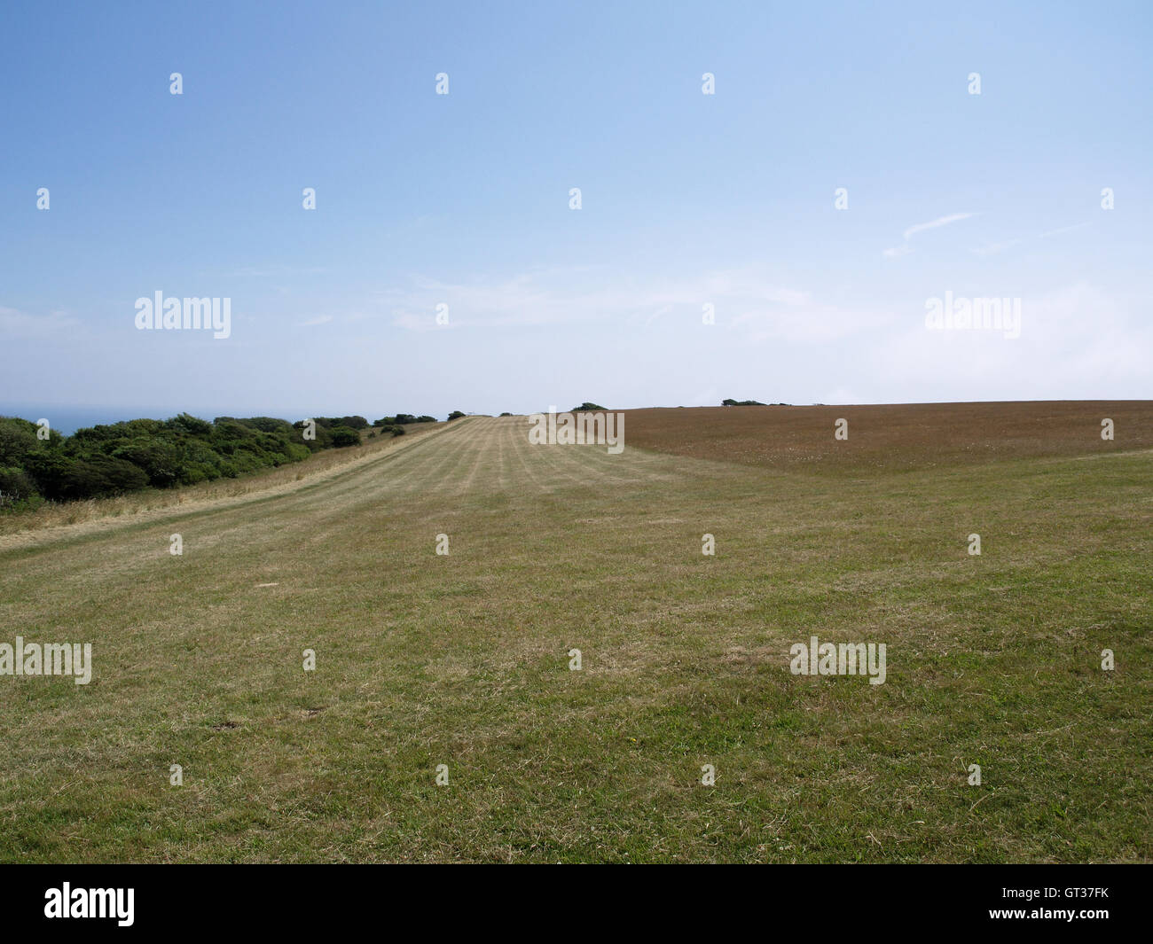 Lighthouse selsey bill hi-res stock photography and images - Alamy