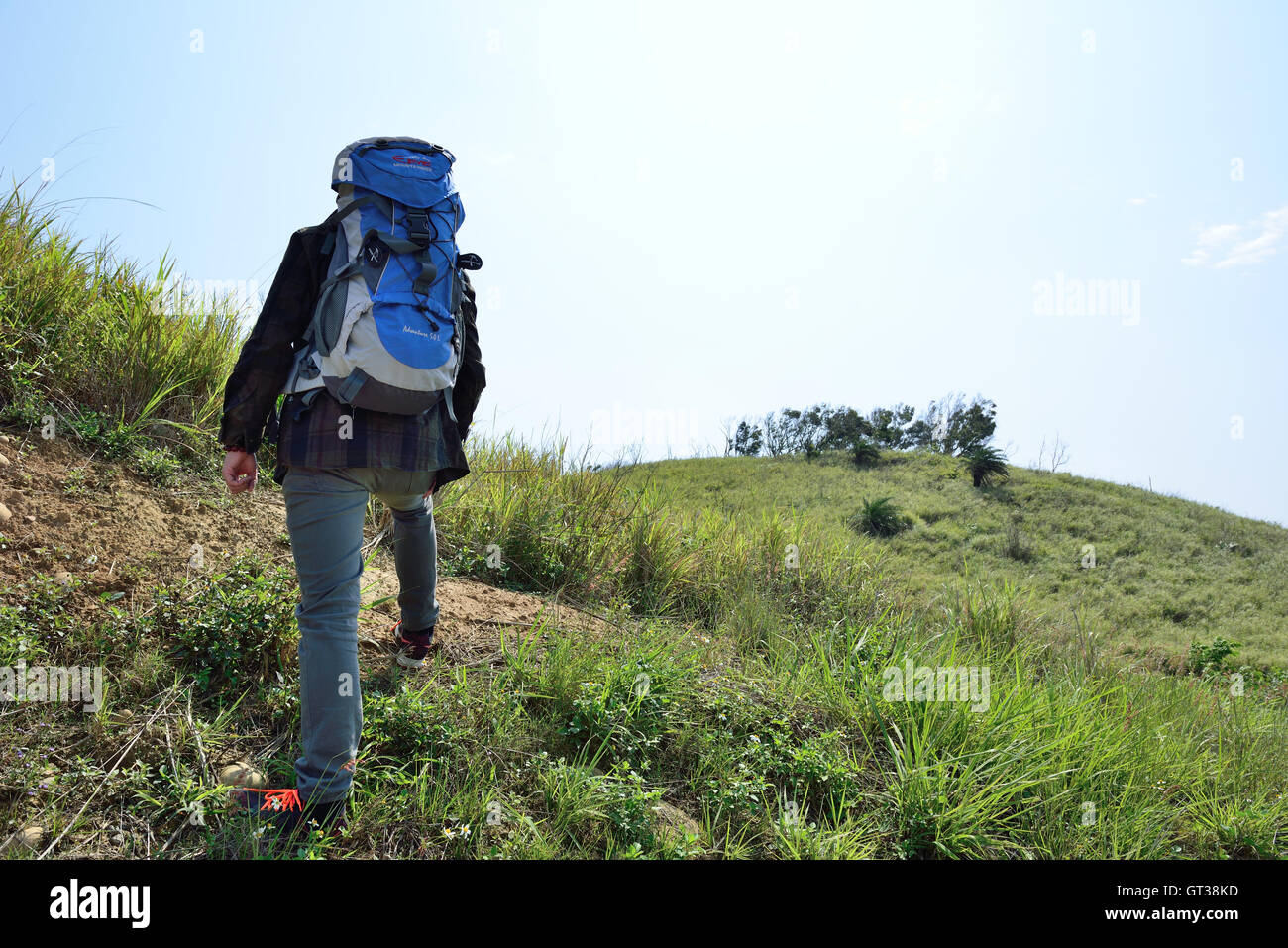 view of back Stock Photo - Alamy