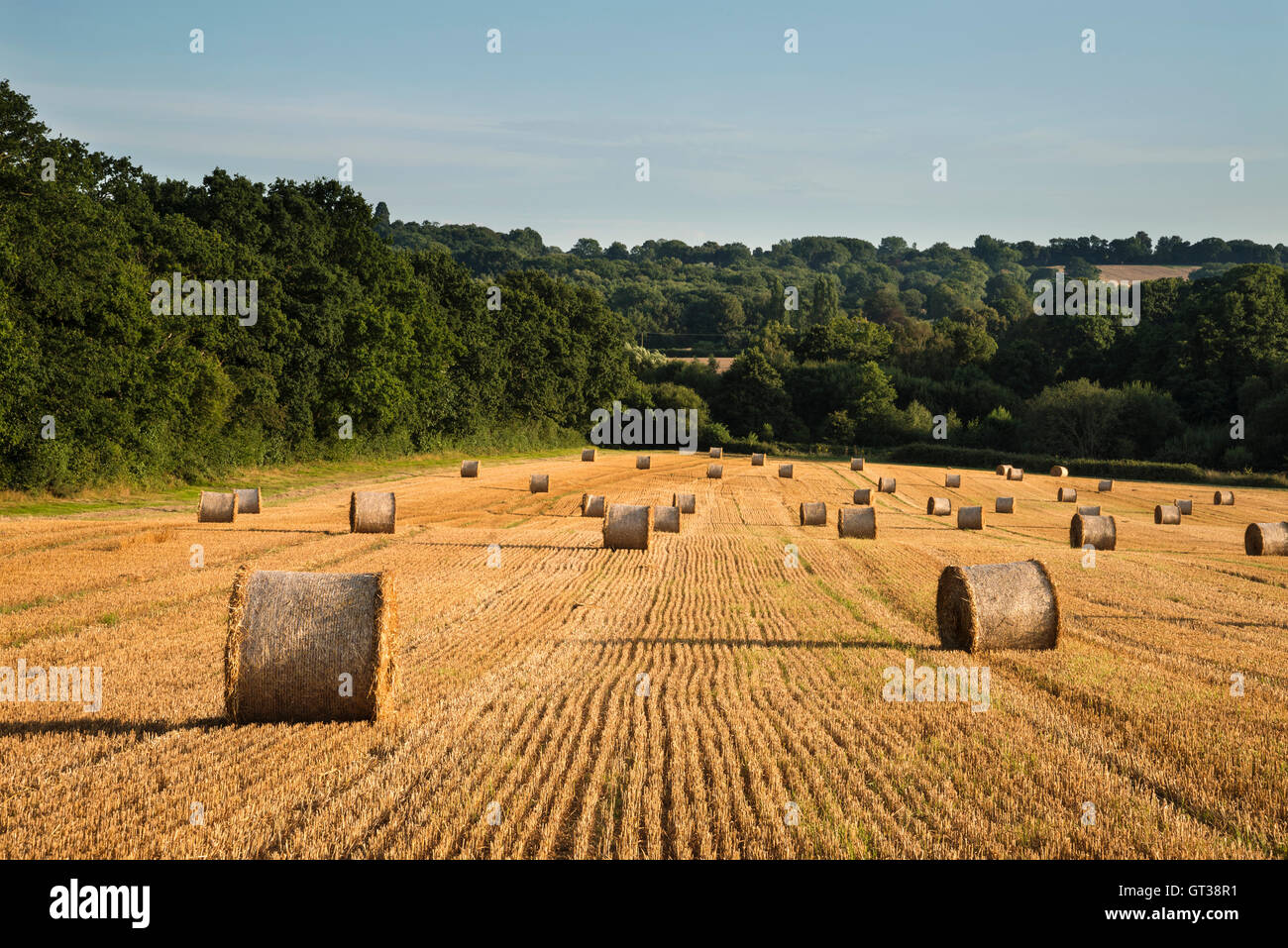 Beautiful landscape image of hay bales in Summer field during colorful ...
