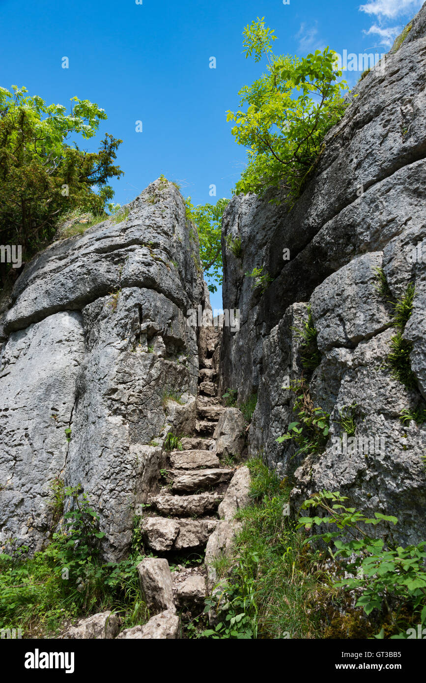 Fairy steps beetham hi-res stock photography and images - Alamy