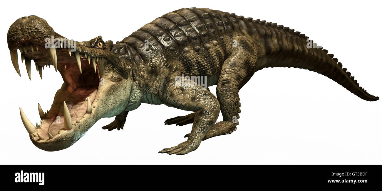 Kaprosuchus hi-res stock photography and images - Alamy