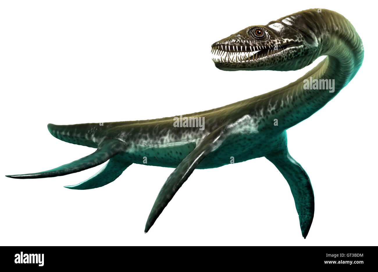 Plesiosaurus hi-res stock photography and images - Alamy