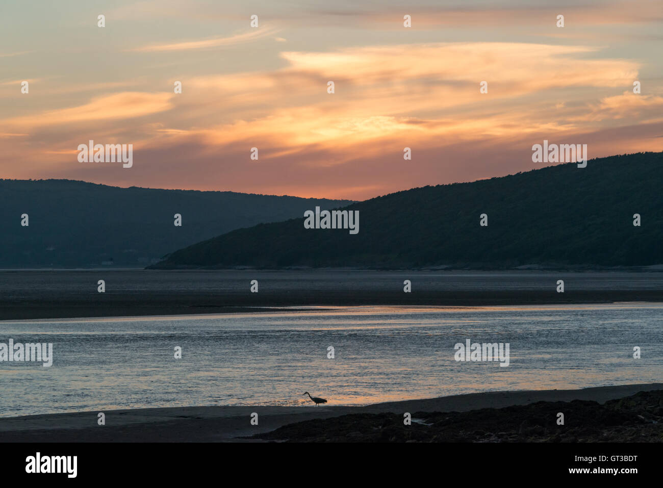 River Kent, Arnside, Cumbria, UK Stock Photo - Alamy