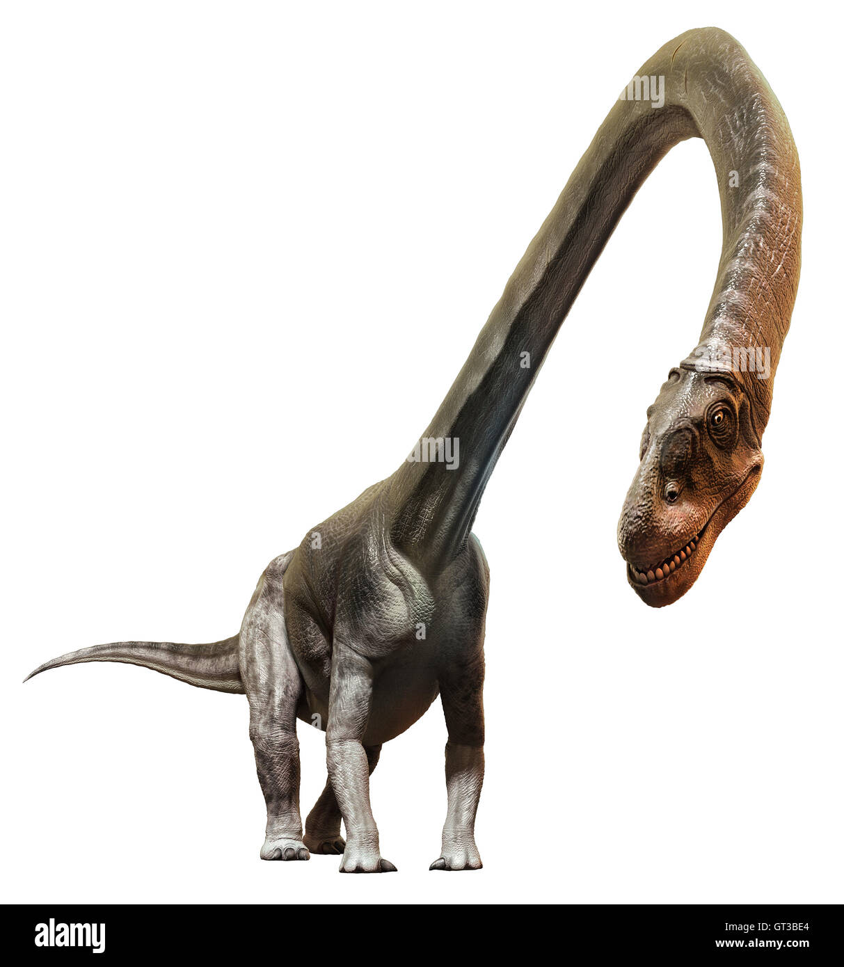 Long neck dinosaur hi-res stock photography and images - Alamy