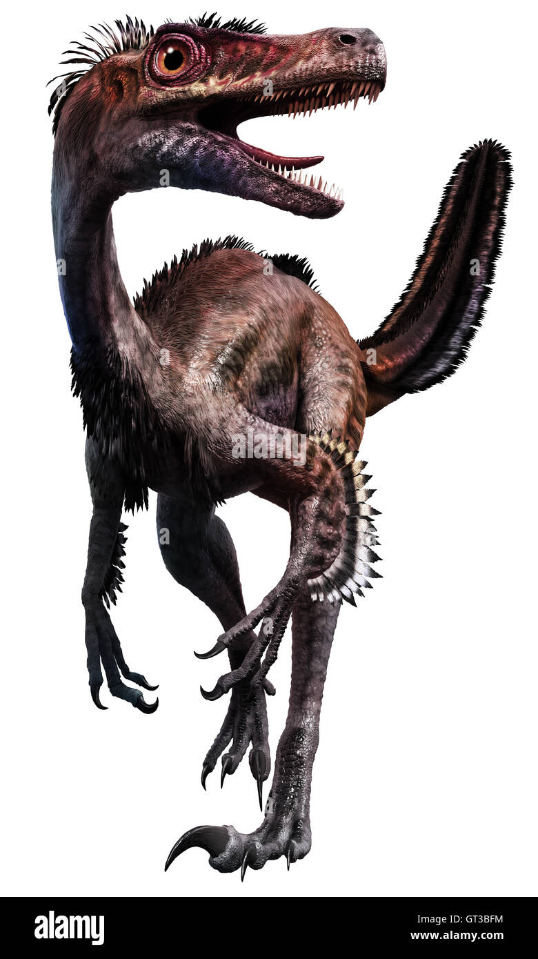 Velociraptor hi-res stock photography and images - Alamy