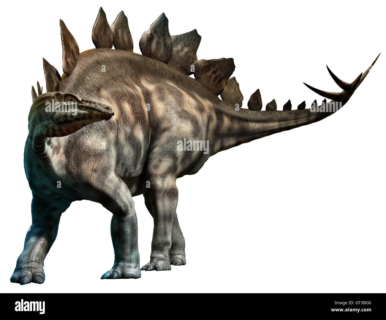 Stegosaurus dinosaur 3d hi-res stock photography and images - Alamy