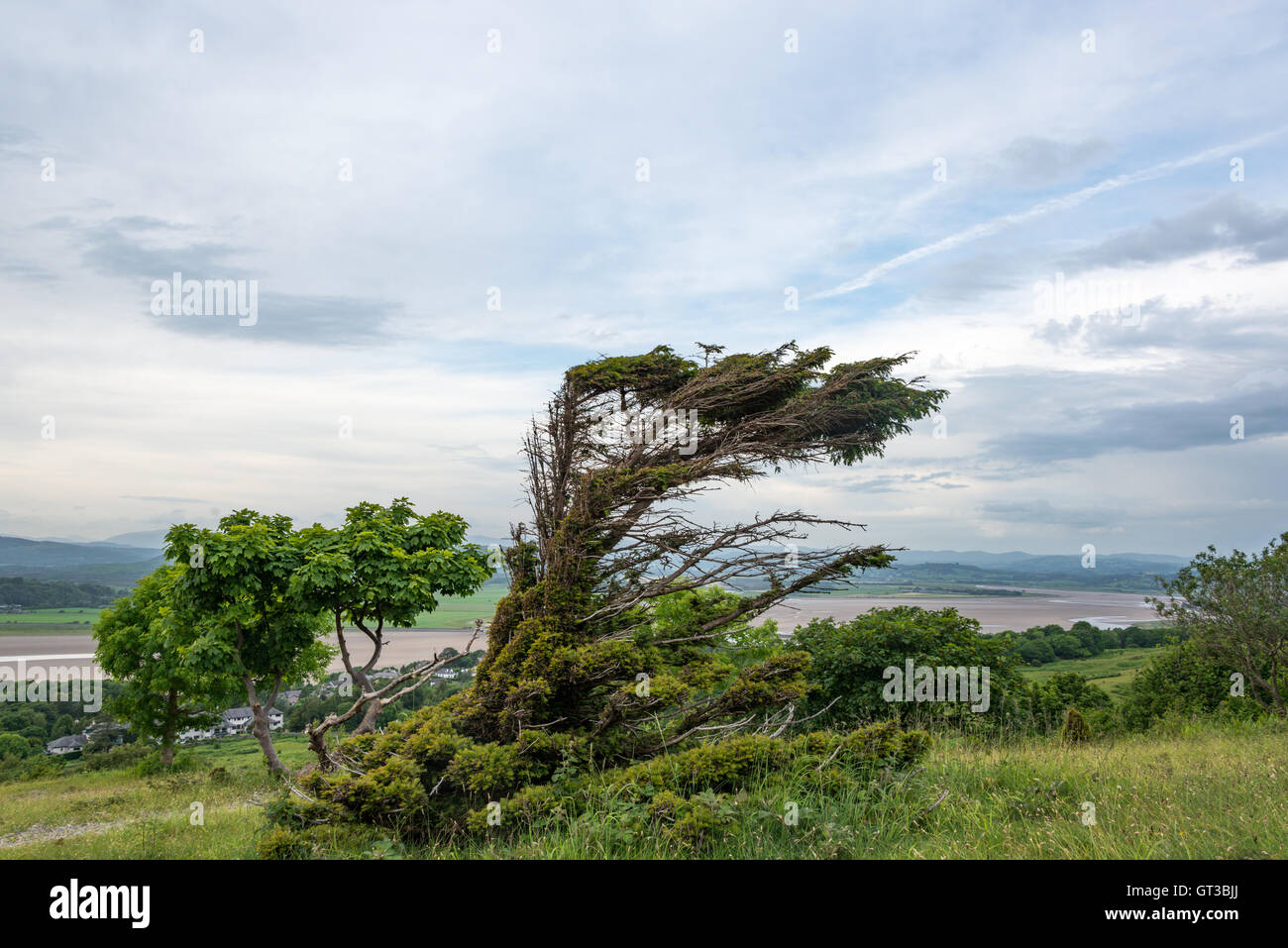 Arnside Knott, Lancashire/Cumbria border Stock Photo - Alamy