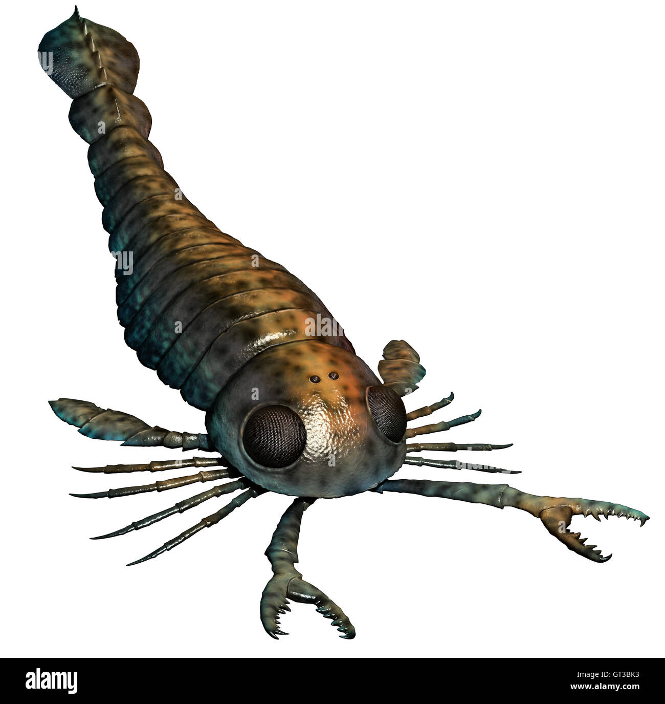 Pterygotus Vs Brontoscorpio