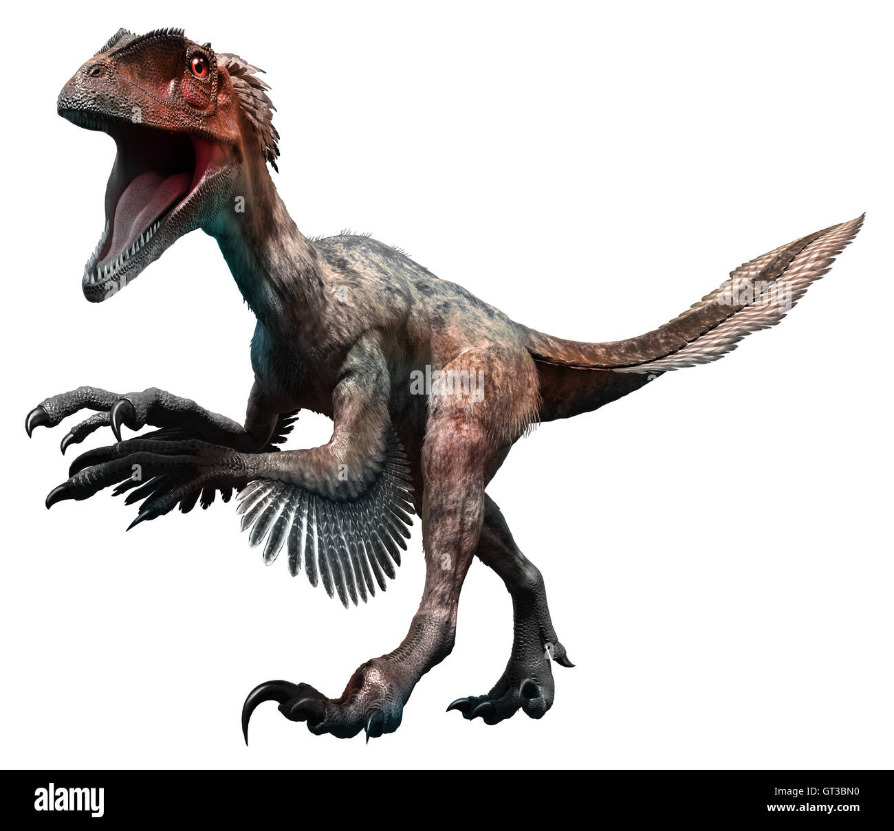 Deinonychus hi-res stock photography and images - Alamy