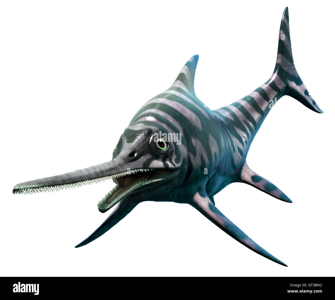 Eurhinosaurus hi-res stock photography and images - Alamy