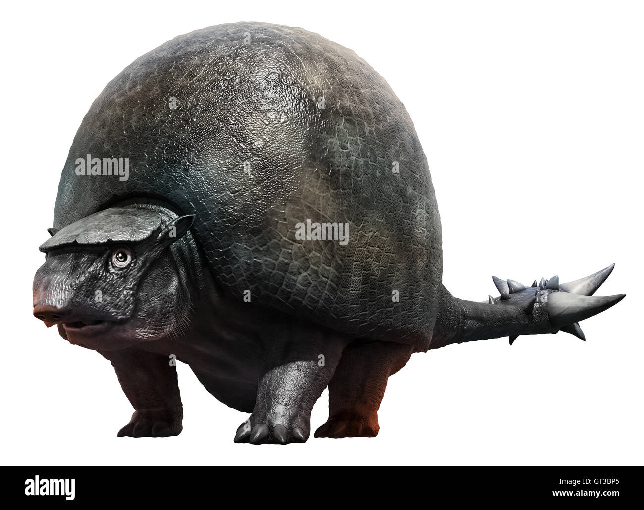 Doedicurus High Resolution Stock Photography and Images - Alamy