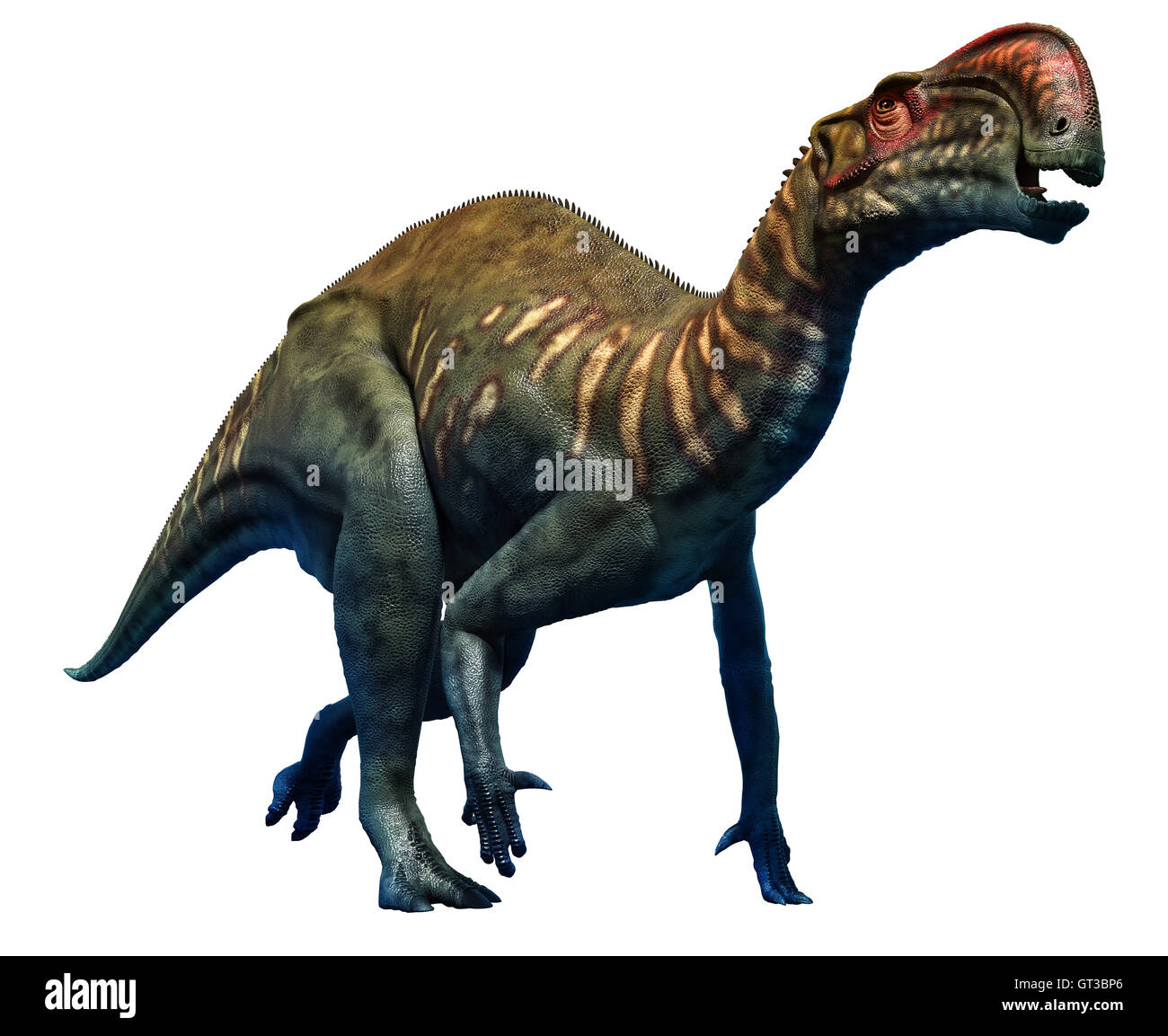 Altirhinus dinosaur hi-res stock photography and images - Alamy